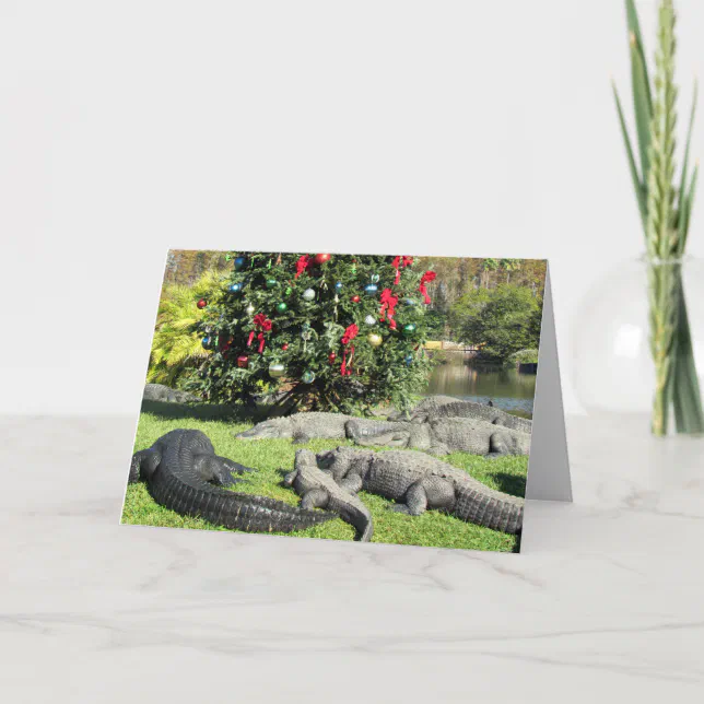 Florida Gator Christmas Holiday Card | Zazzle