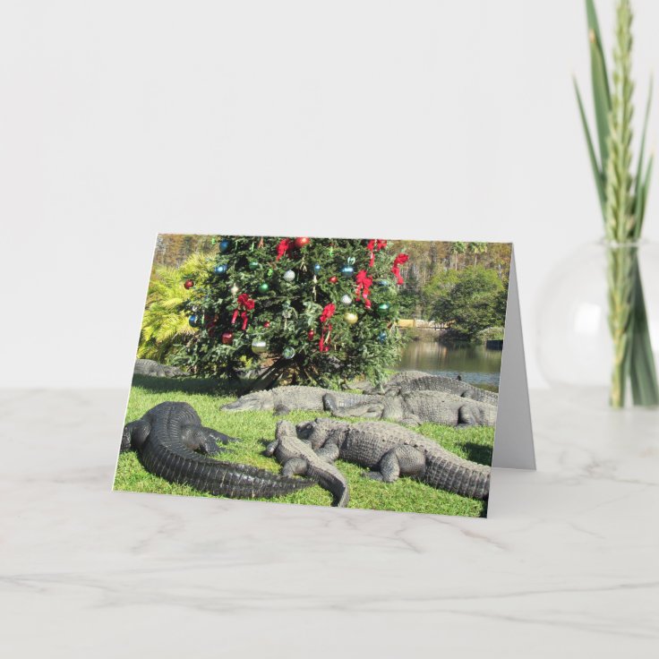 Florida Gator Christmas Holiday Card | Zazzle