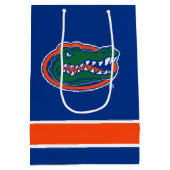 Florida Gators Gift Bag - Medium | Zazzle