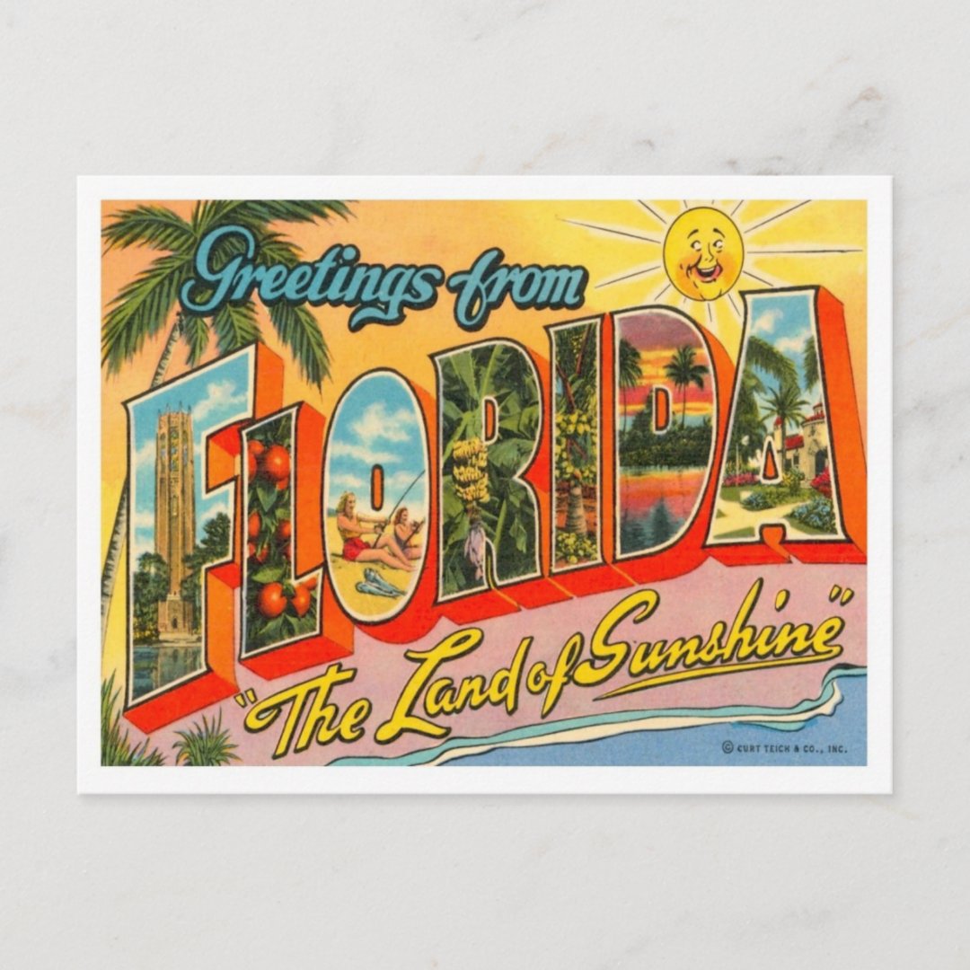 Florida Greetings From US States Postcard | Zazzle