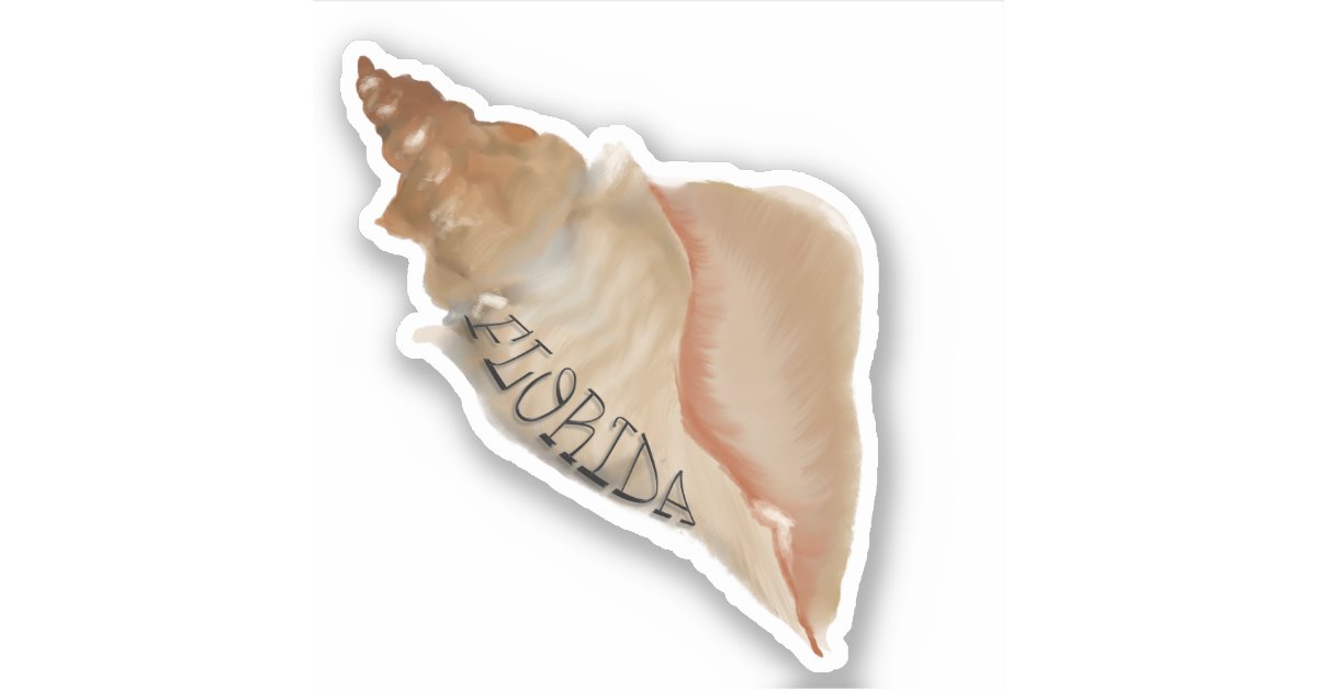 Florida Horse Conch Shell Sticker | Zazzle