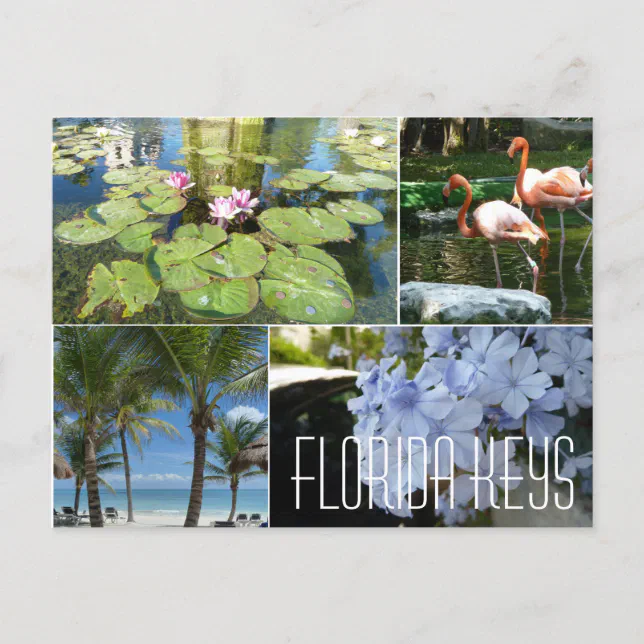 Florida Keys Postcard | Zazzle