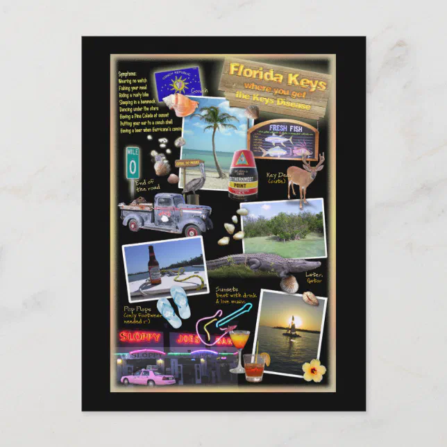 Florida Keys Postcard | Zazzle