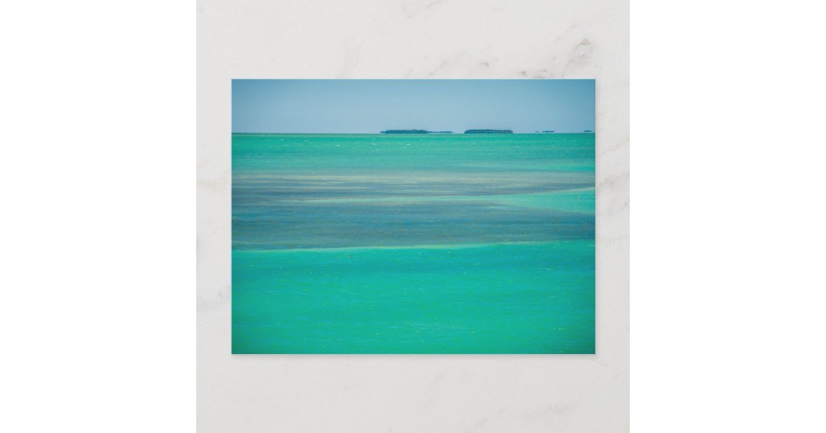 Florida Keys Postcard | Zazzle