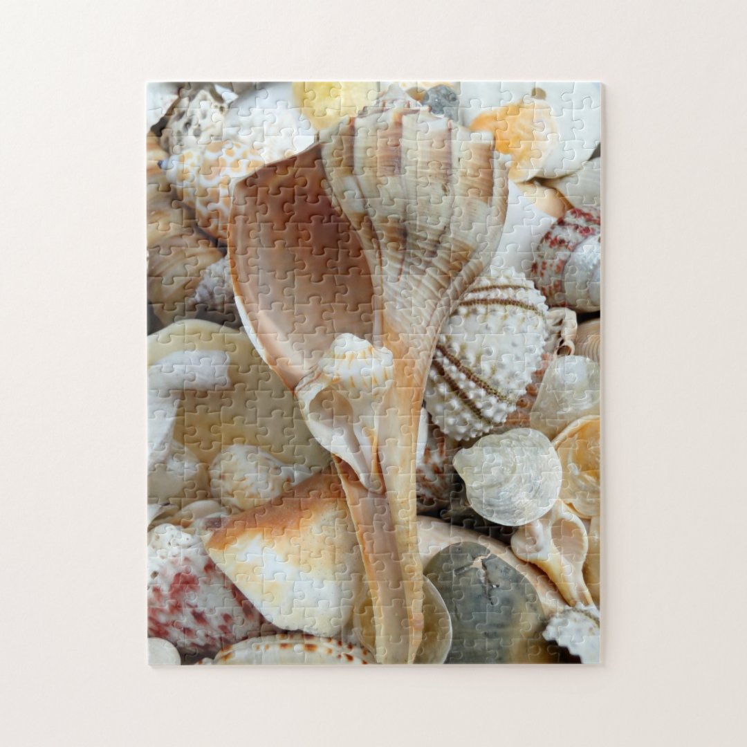 Florida Lightning Whelk Seashells Puzzle | Zazzle