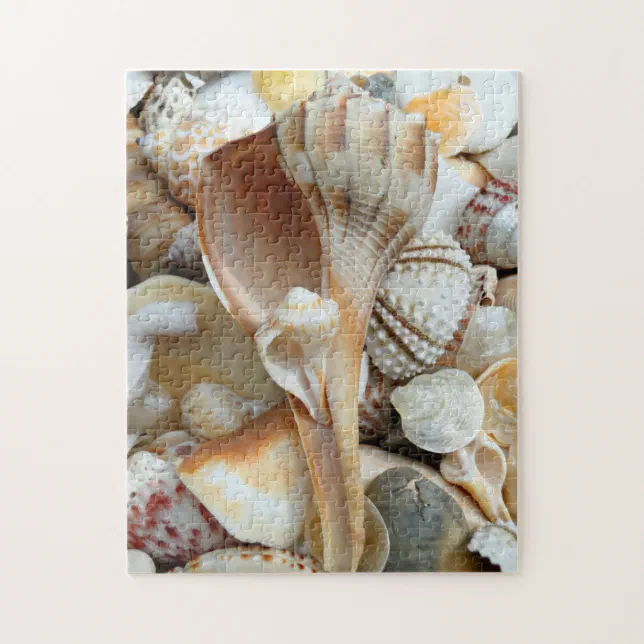 Florida Lightning Whelk Seashells Puzzle | Zazzle