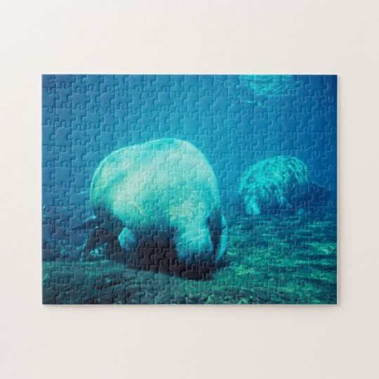 Florida Manatee Jigsaw Puzzle | Zazzle.com