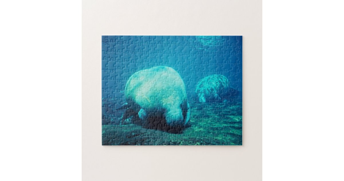 Florida Manatee Jigsaw Puzzle | Zazzle