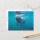 Florida Manatee Postcard | Zazzle
