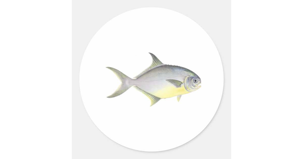 Florida Pompano Classic Round Sticker | Zazzle