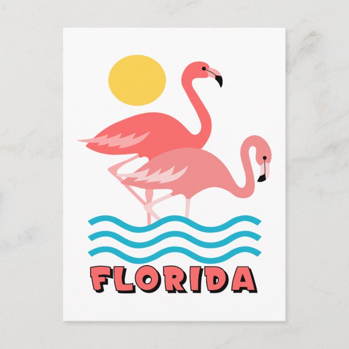 Florida Postcard | Zazzle.com