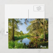 Florida Postcard | Zazzle