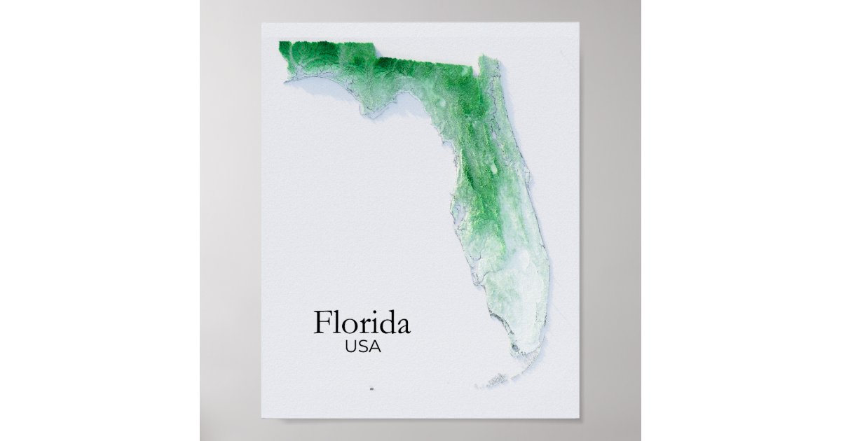 Florida Relief Map Green Texture Poster | Zazzle