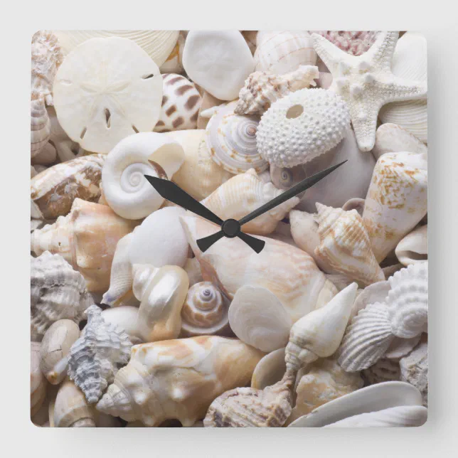 Florida Sea Shell Background - Beach Shells Custom Square Wall Clock ...