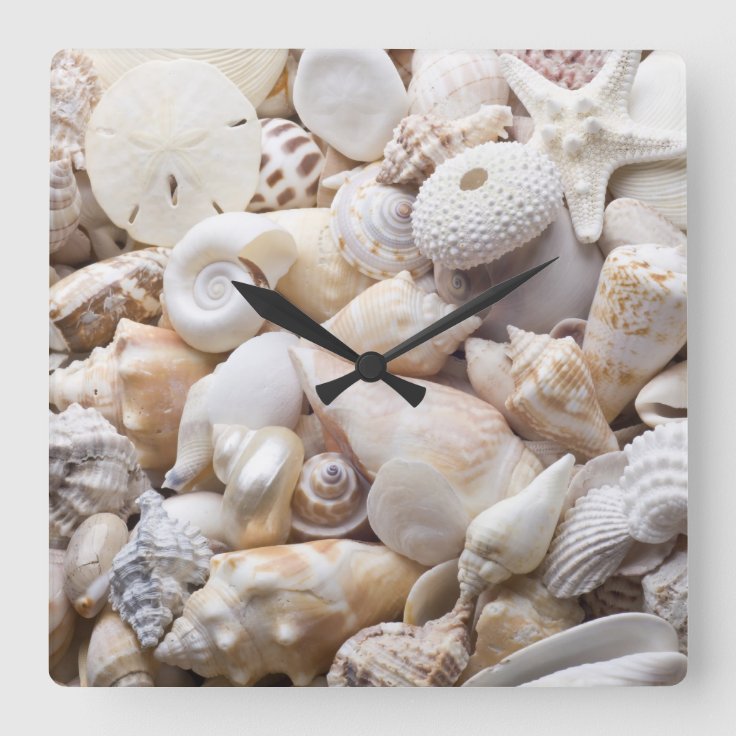 Florida Sea Shell Background - Beach Shells Custom Square Wall Clock ...