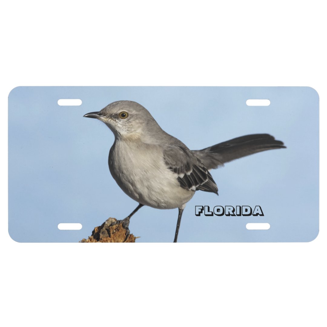 Florida State Bird License Plate | Zazzle