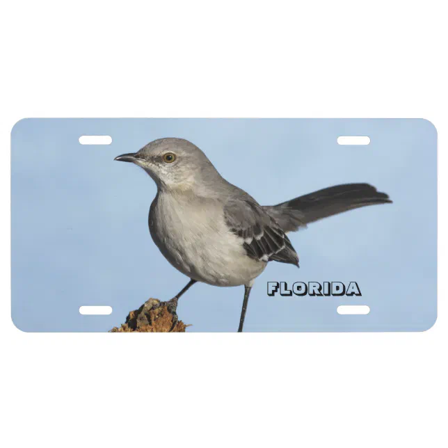 Florida State Bird License Plate | Zazzle
