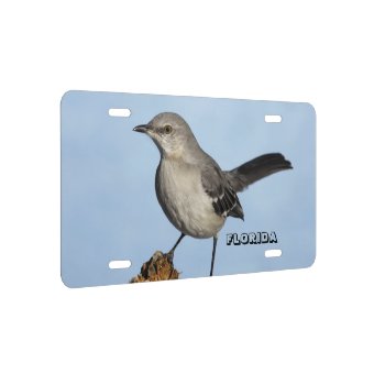 Florida State Bird License Plate | Zazzle