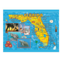 Florida Gifts on Zazzle