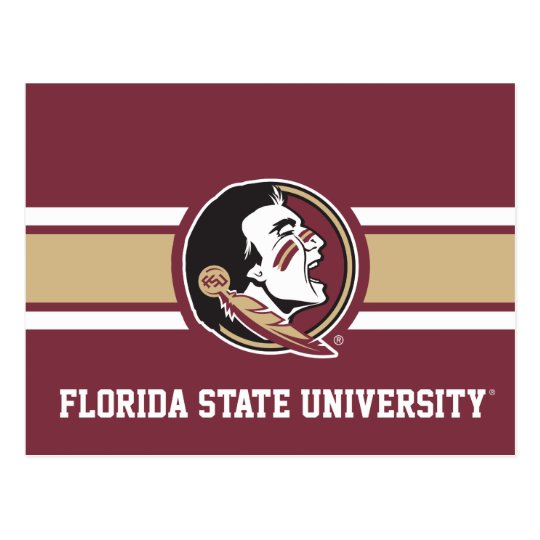 Florida State University Seminoles Gold Postcard | Zazzle.com