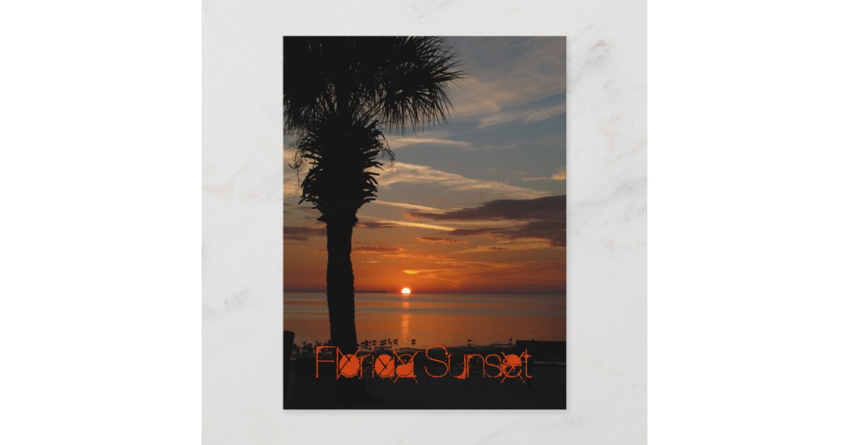 Florida Sunset Postcard | Zazzle