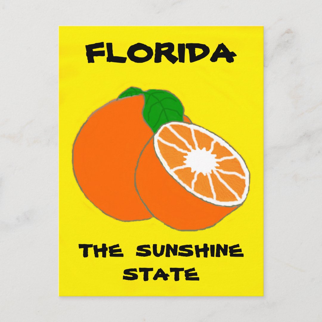 Florida Sunshine State.jpg Postcard | Zazzle