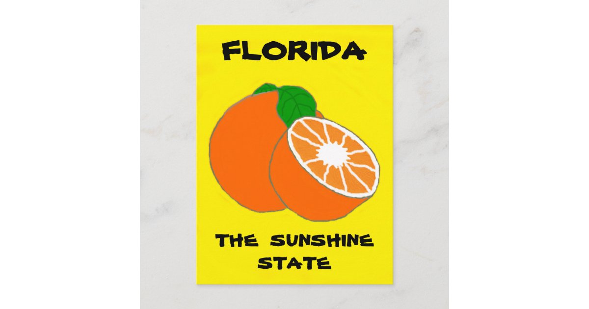 Florida Sunshine State.jpg Postcard | Zazzle