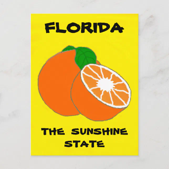 Florida Sunshine State.jpg Postcard | Zazzle