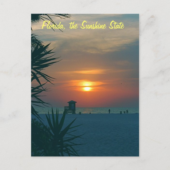 Florida, the Sunshine State Postcard | Zazzle.com