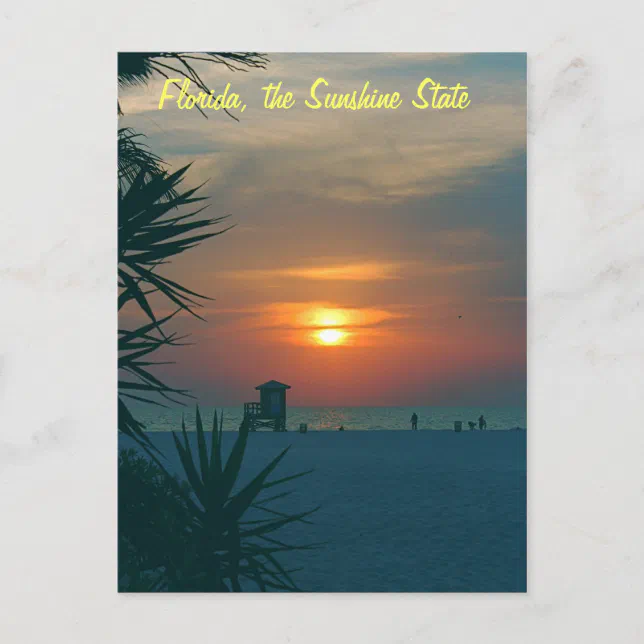 Florida, the Sunshine State Postcard | Zazzle