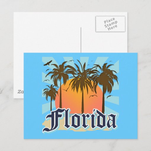 Florida The Sunshine State USA Postcard | Zazzle
