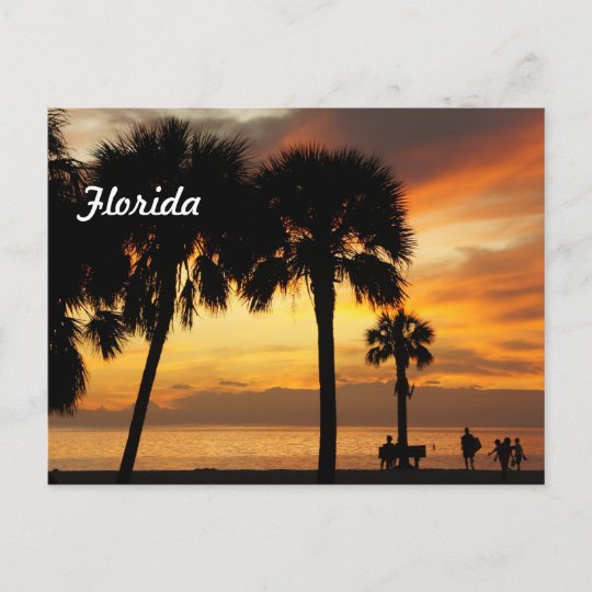 Florida Vacation Postcard | Zazzle.com