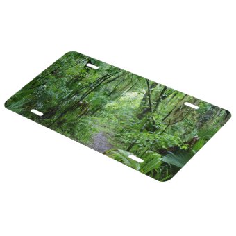 Florida's Enchanted Forest License Plate | Zazzle
