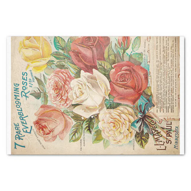 flower ad tissue paper | Zazzle