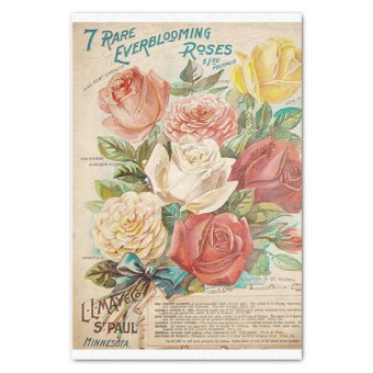 flower ad tissue paper | Zazzle