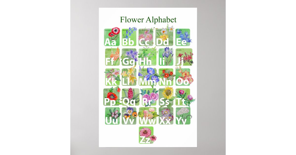 Flower Alphabet Poster | Zazzle
