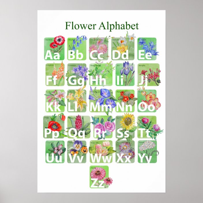 Flower Alphabet Poster | Zazzle.com