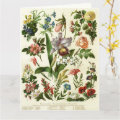 Flower Botanicals Card | Zazzle