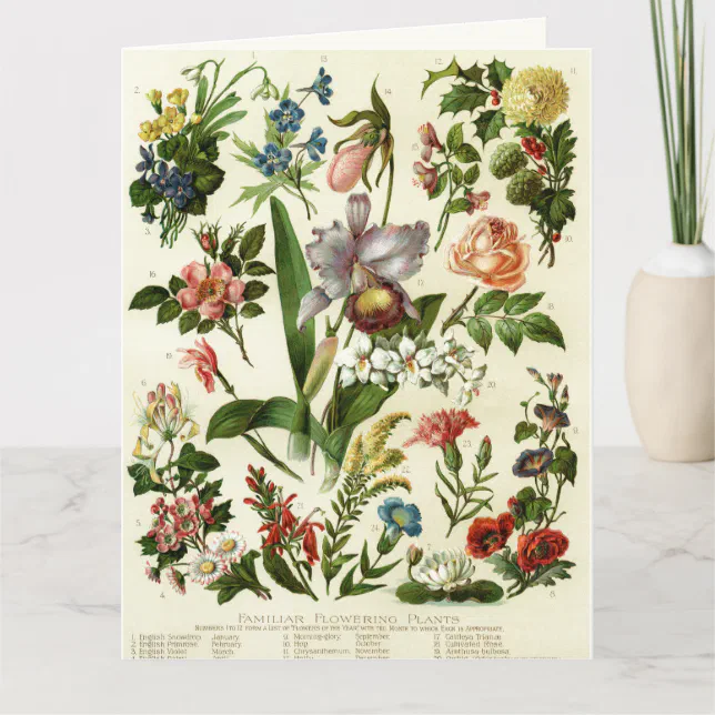 Flower Botanicals Card | Zazzle