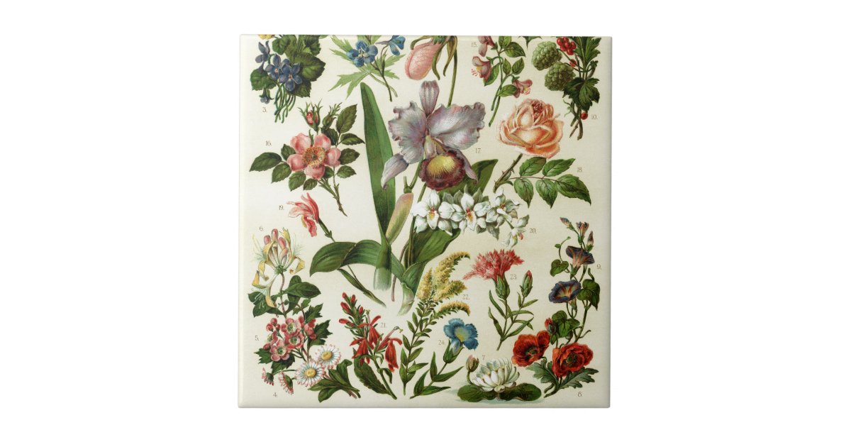 Flower Botanicals Ceramic Tile | Zazzle