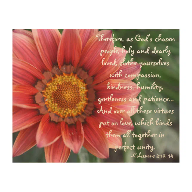 Flower Colossians 3 Wood Wall Decor | Zazzle