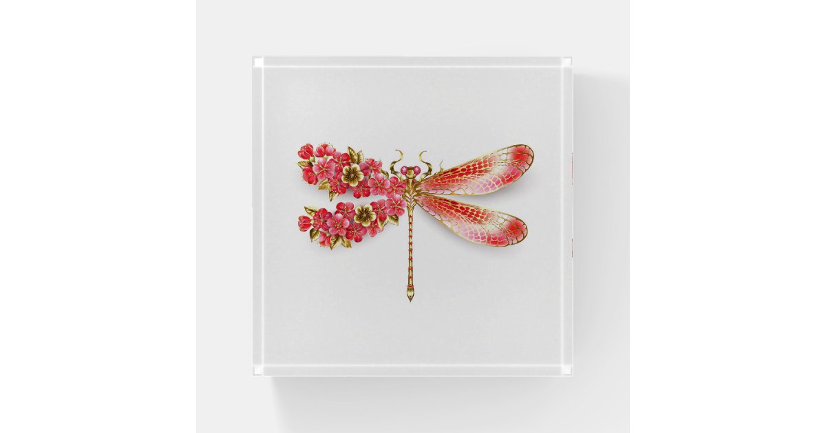Flower dragonfly with jewelry sakura paperweight | Zazzle