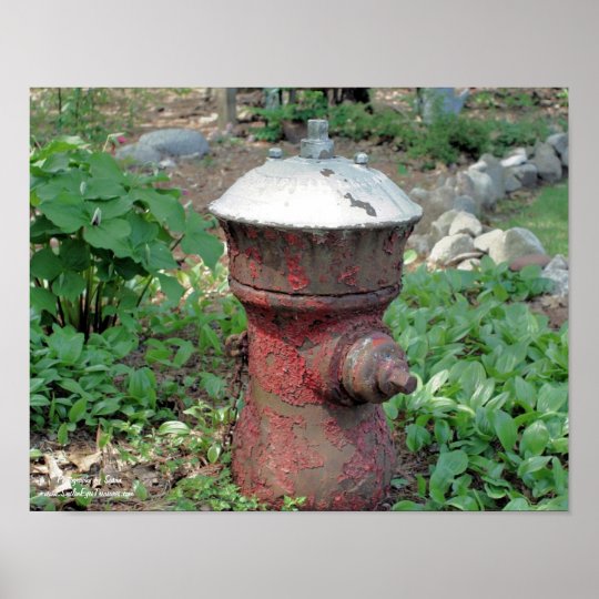 Flower Garden Rusty Fire Hydrant Poster | Zazzle.com