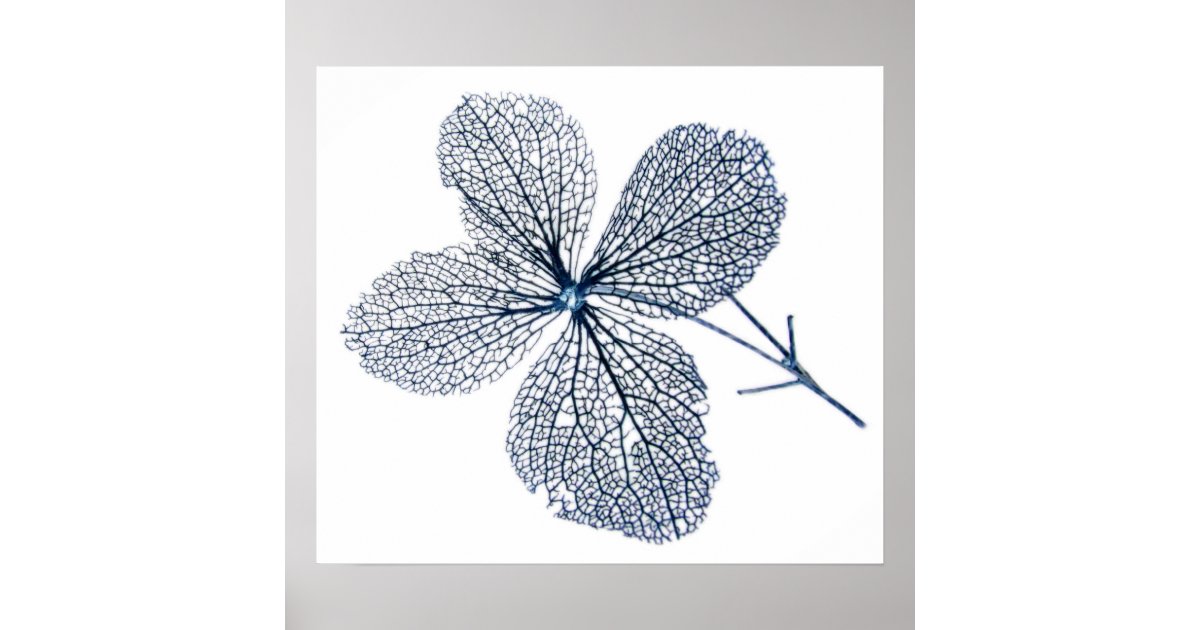 Flower Skeleton ~ print | Zazzle