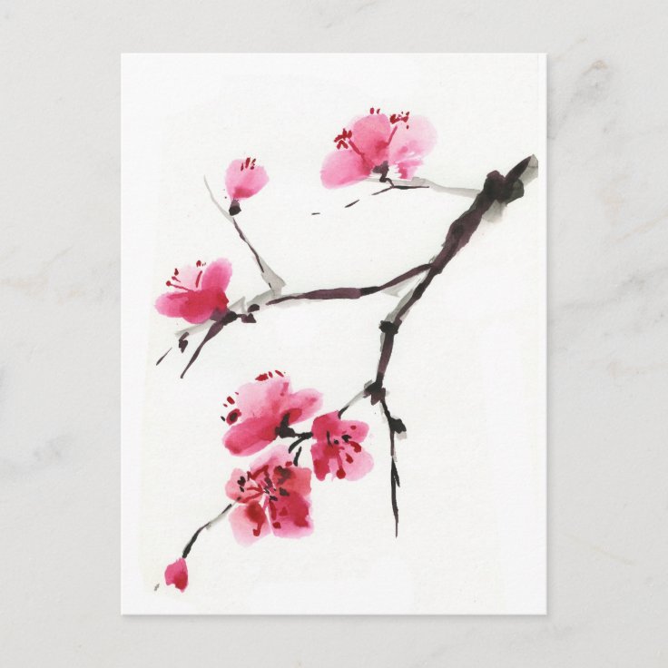 Flowering cherry. Spring blossom. Ink painting Postcard | Zazzle