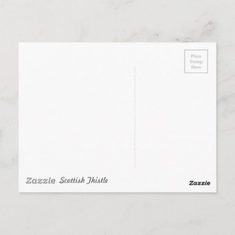 Flowering Scottish Thistle Postcard | Zazzle