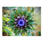Scottish Thistle Fine Art Photography Postcard | Zazzle.com