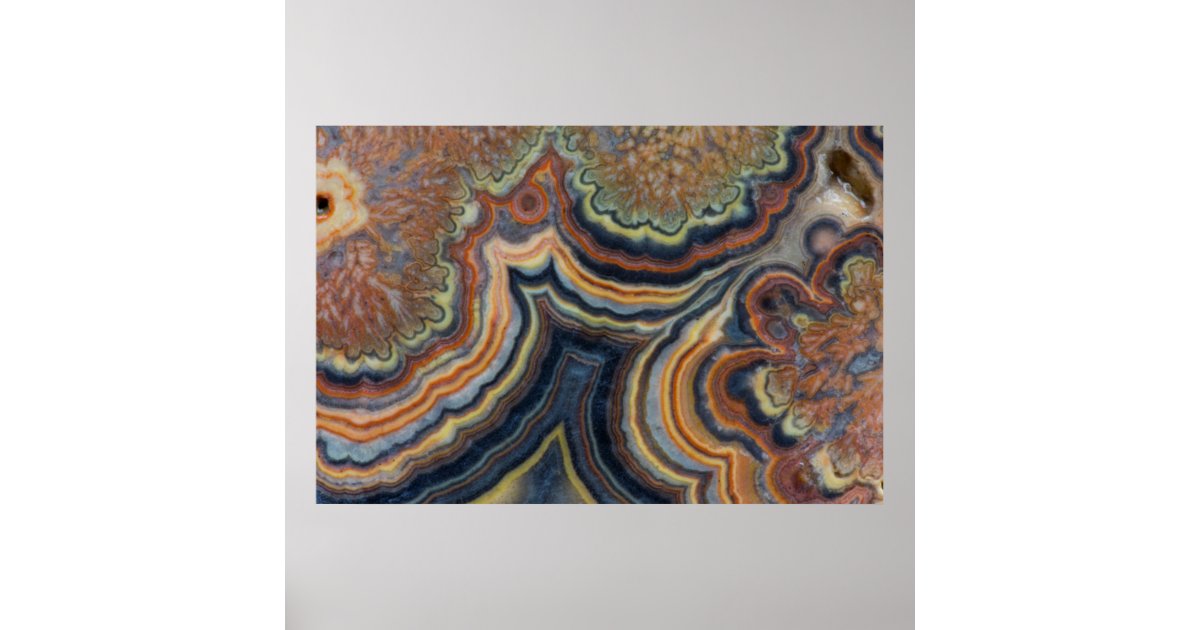Flowering tube onyx poster | Zazzle