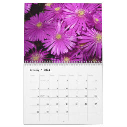 Flowers Calendar 2016 | Zazzle