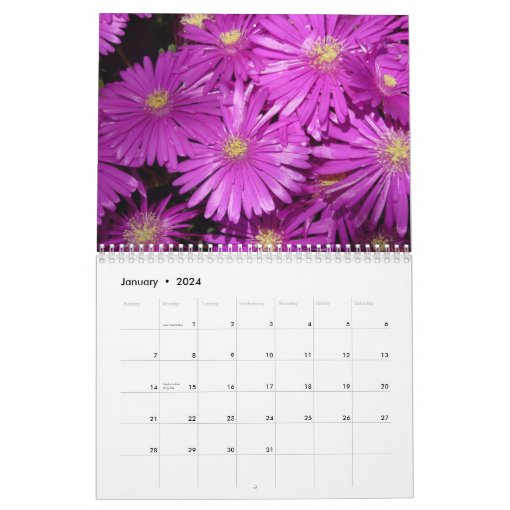 Flowers Calendar 2016 | Zazzle